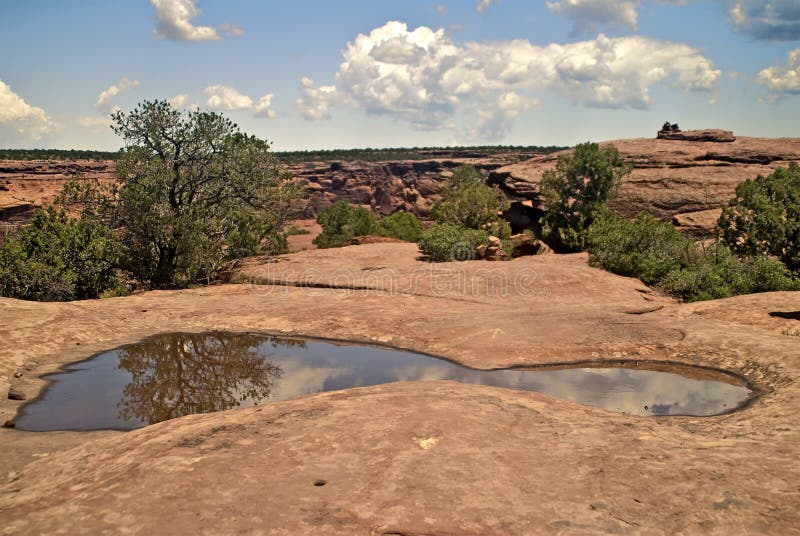 Charco Después De Una Tormenta Foto de archivo - Imagen de monumento ...