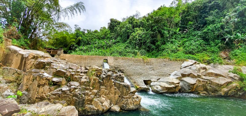 Charco Los Morones Utuado, Puerto Rico Stock Photo - Image of plant ...