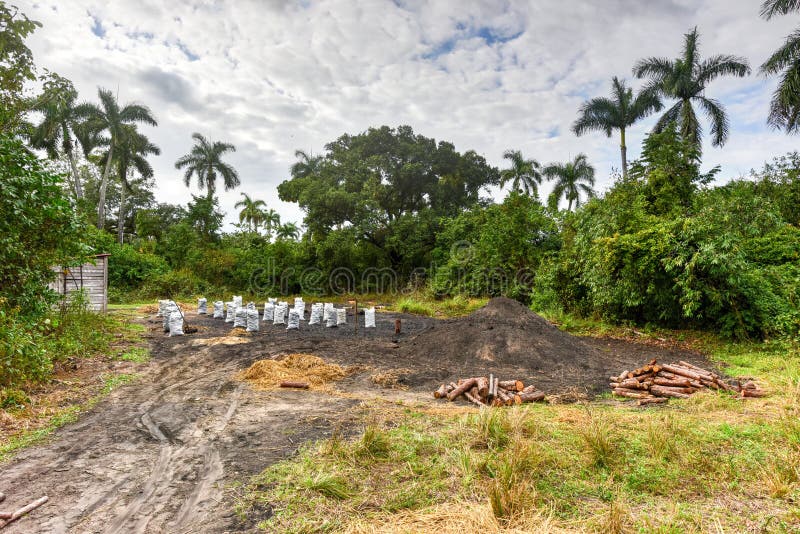 Wood Pyre Pine Logs Stock Photos - Free & Royalty-Free Stock Photos ...