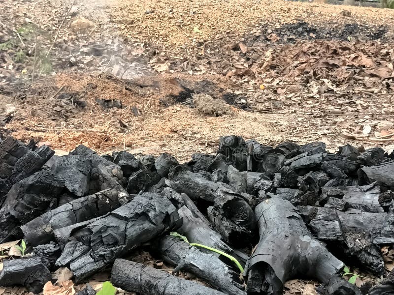 Charcoal on the ground stock photo. Image of black, bedrock - 225256626