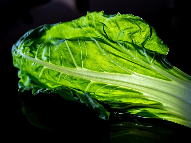 Chard Leaf, White Stem Edible Vegetable Stock Image - Image of dieting ...