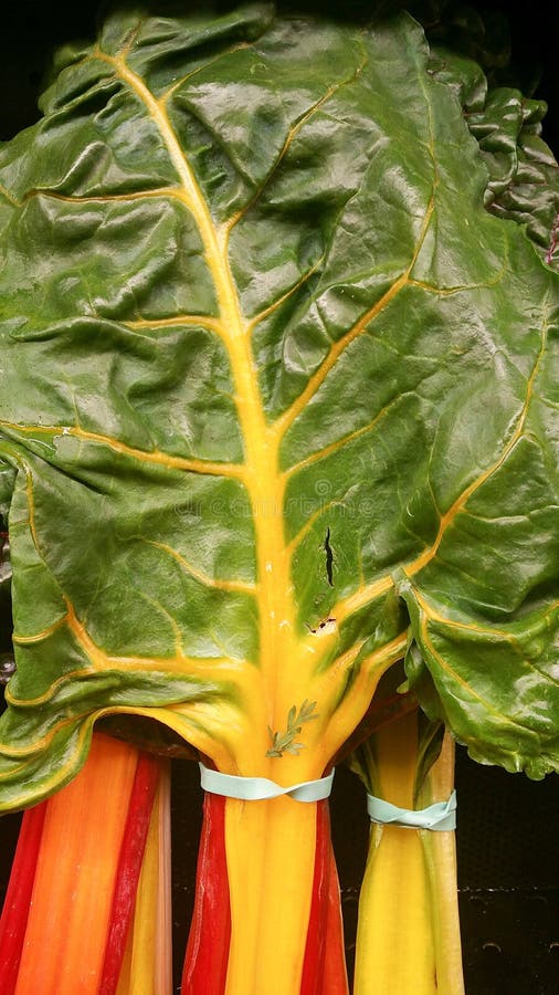 Chard at a Produce Stand stock image. Image of market - 88767873