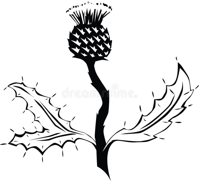 Chardon Stock Illustrations, Vecteurs, & Clipart – (6,199 Stock ...