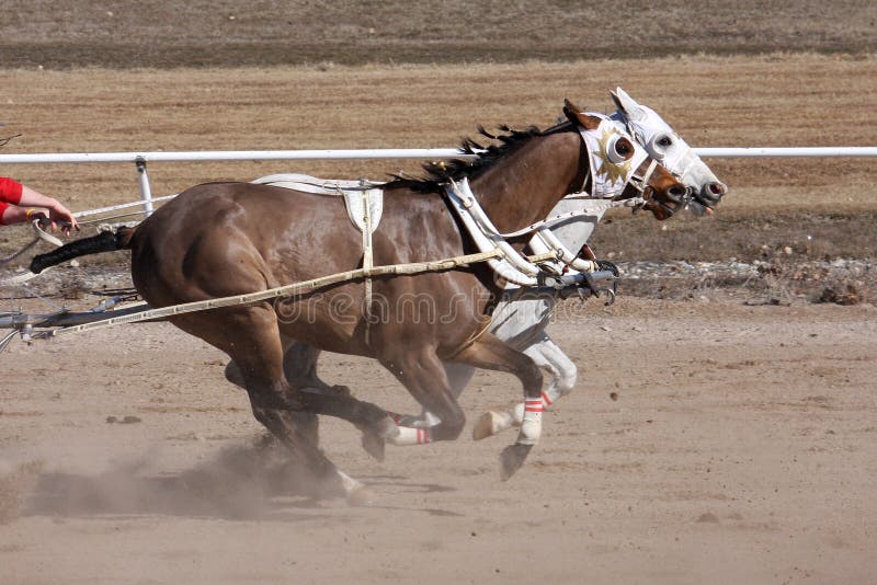 Chariot racing stock photo. Image of ogden, helmet, carriage - 26484712