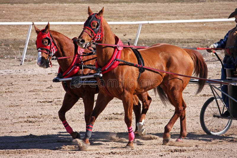 Chariot racing stock photo. Image of competition, sand - 27206310