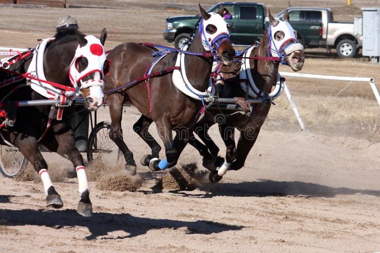 792 Chariot Racing Stock Photos - Free & Royalty-Free Stock Photos from ...