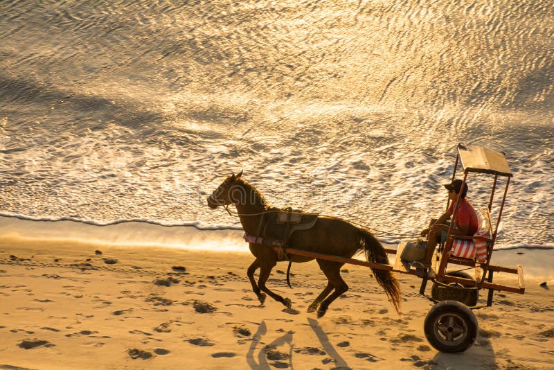 Man Riding Chariot Bike Crossing The Street. Barcelona, Spain ...
