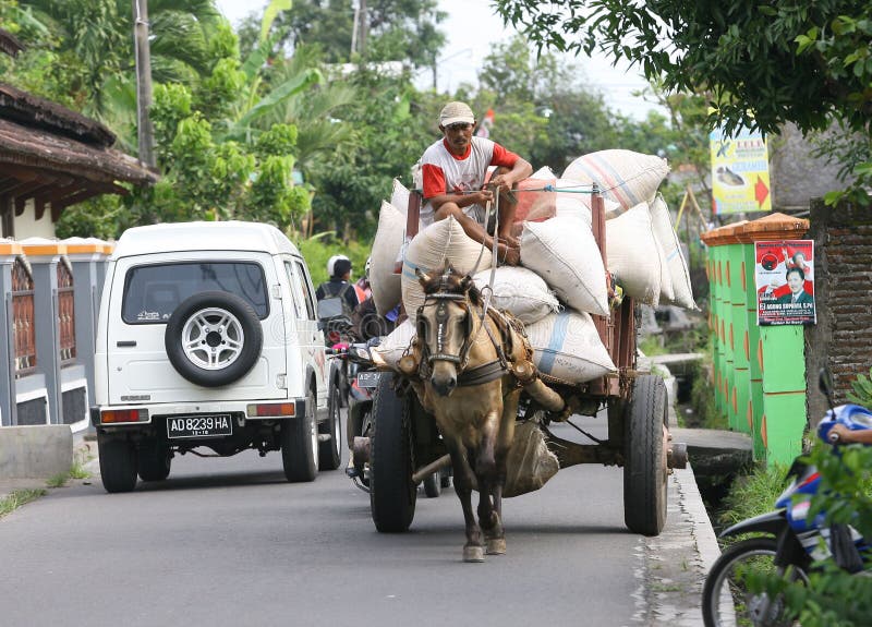 Chariots de cheval photo éditorial. Image du java, berline - 36609811