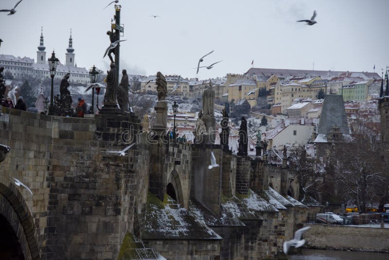 Charles bridge in winter editorial image. Image of prague - 237797430