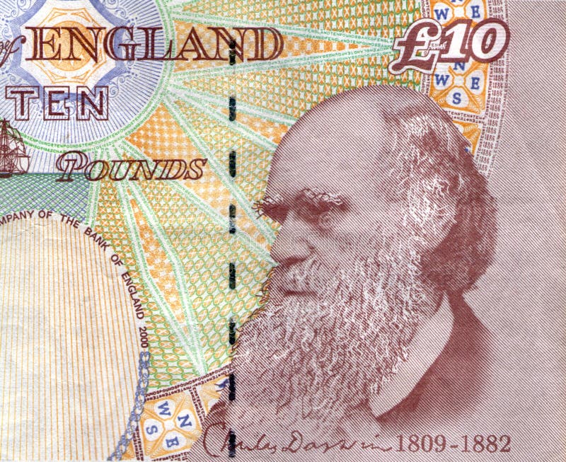 405 Pound 10 Note Stock Photos - Free & Royalty-Free Stock Photos from ...