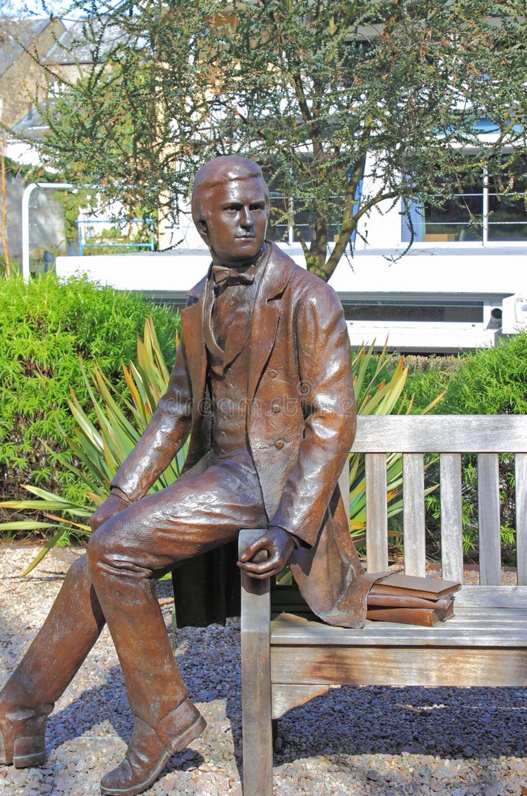 Man Evolutionary Tree Stock Photos - Free & Royalty-Free Stock Photos ...