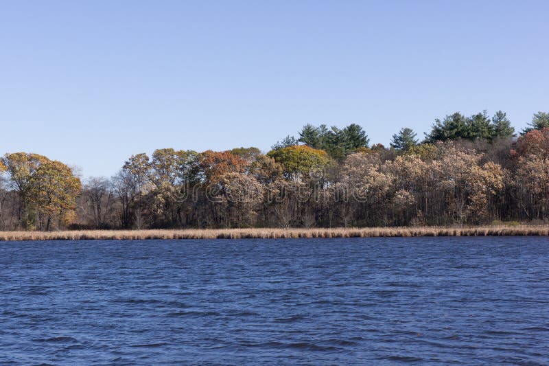Charles River in the Fall stock image. Image of massachusetts - 115597409