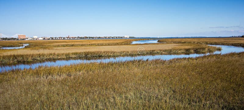 Charleston South Carolina Skyline View Across River Stock Photo - Image ...