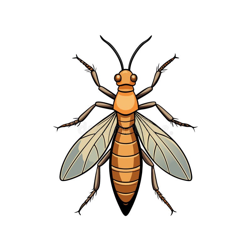 Charming Artwork of Realistic Stonefly in Nature Stock Illustration ...