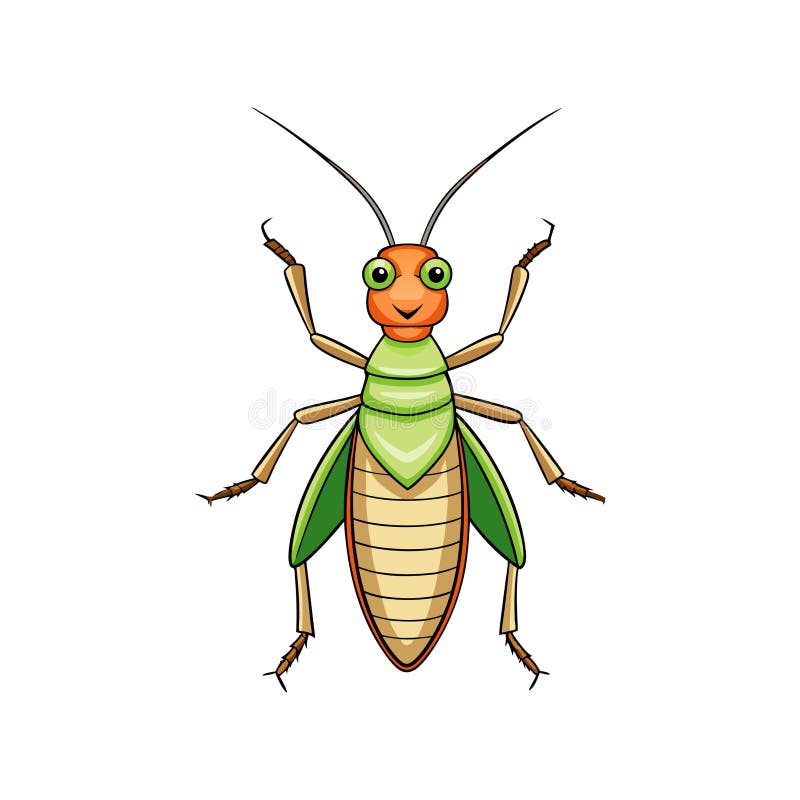 Charming Artwork of Realistic Tree Cricket in Nature Stock Illustration ...