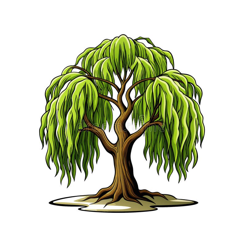 Charming Artwork of Willow Tree Stock Illustration - Illustration of ...