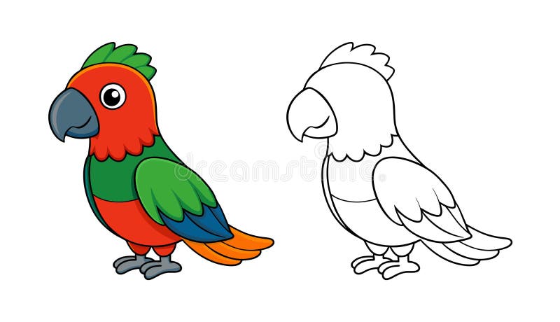 Charming Australian King Parrot Illustration Stock Vector ...