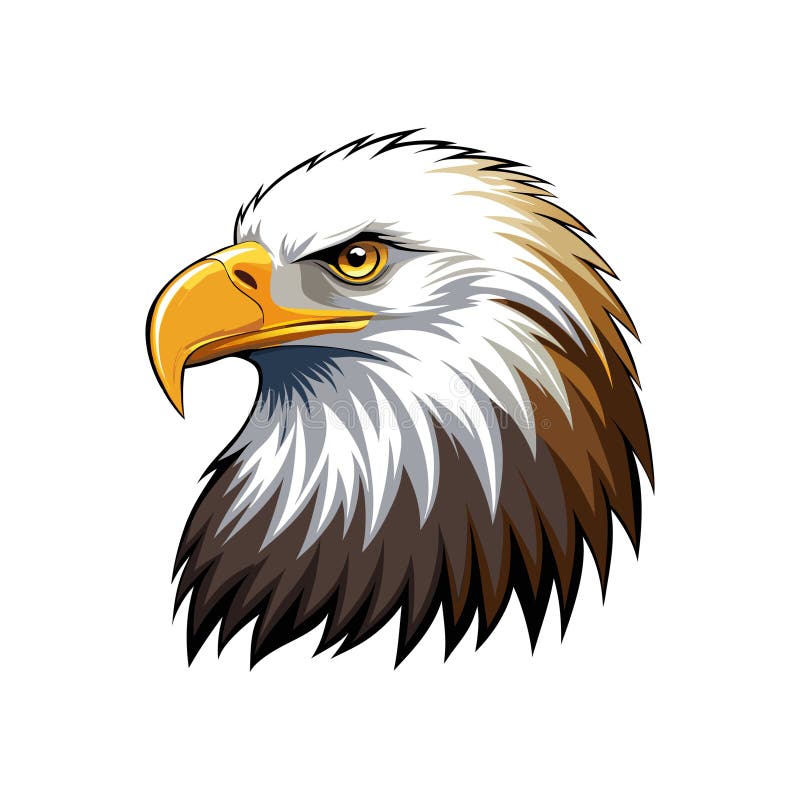 Charming Bald Eagle Bird Illustration Stock Illustration - Illustration of design, singing ...
