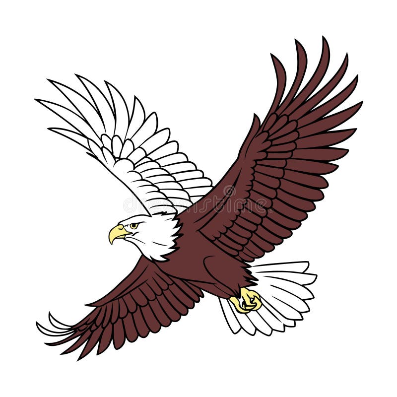 Charming Bald Eagle Bird Illustration Stock Illustration - Illustration ...