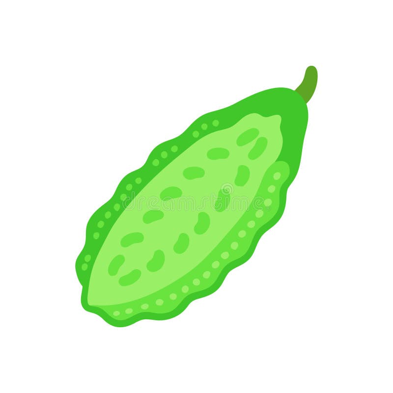 Charming Bitter Melon Graphic Design Stock Illustration - Illustration ...