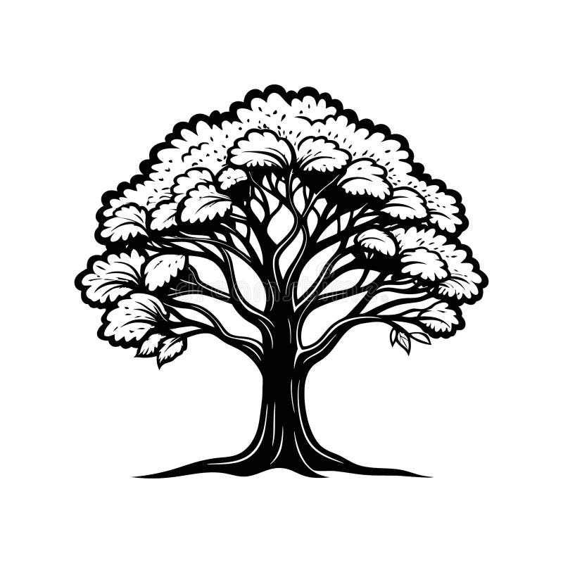 Charming Black Locust Tree Illustration in Bold Outline Stock ...