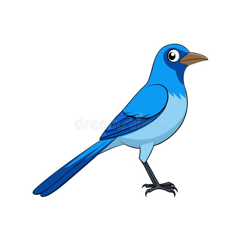 Charming Blue Mockingbird Bird Design Stock Photo - Illustration of ...
