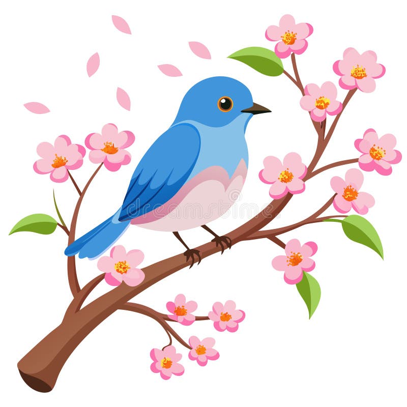 Bluebird on Cherry Blossom Branch: Springtime Vector Illustration ...