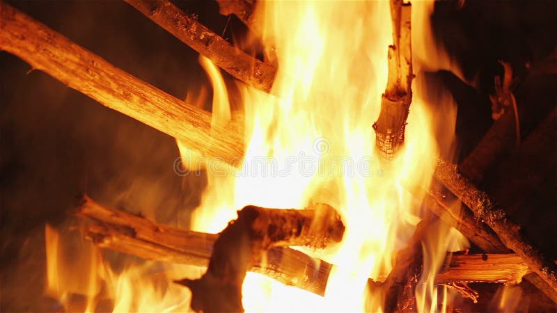 Charming bonfire flames stock footage. Video of light - 51945344