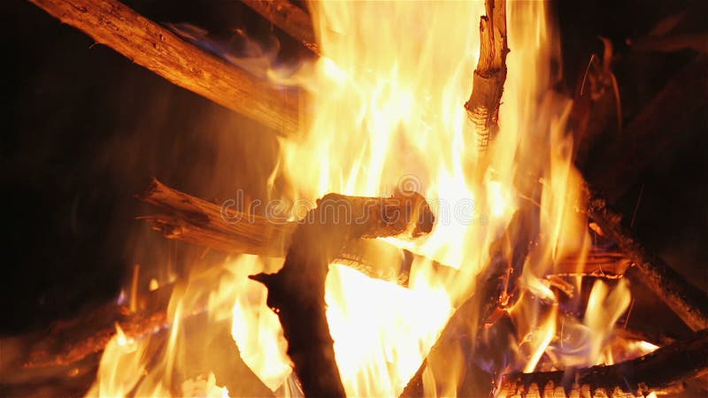 Charming bonfire flames stock footage. Video of light - 51945344