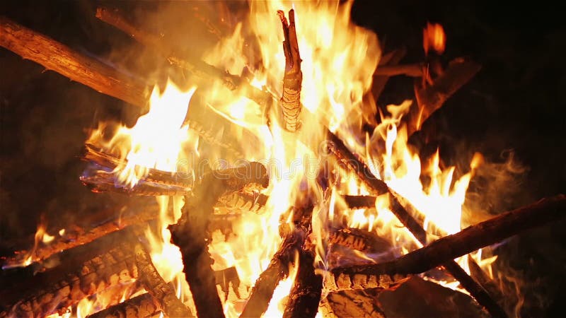 Charming Bonfire Flame, Zoom-in Camera Motion Stock Video - Video of ...