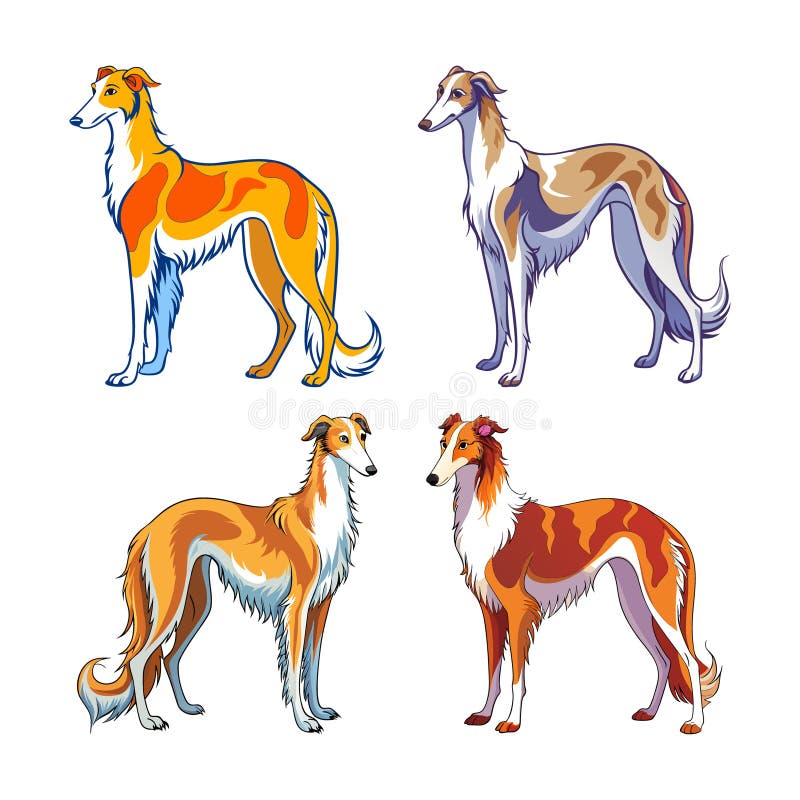 Charming Borzoi Color Illustration Stock Vector - Illustration of icon ...
