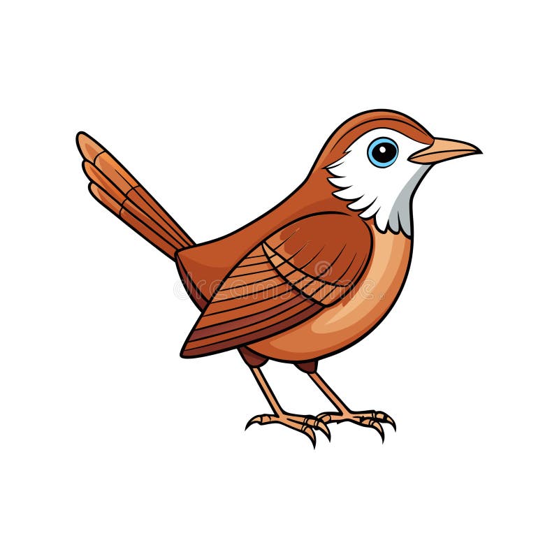 Charming Carolina Wren Design Stock Photo - Illustration of singing ...
