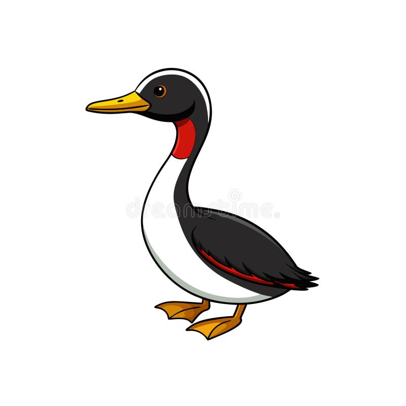Atitlan Grebe Stock Illustrations – 5 Atitlan Grebe Stock Illustrations ...