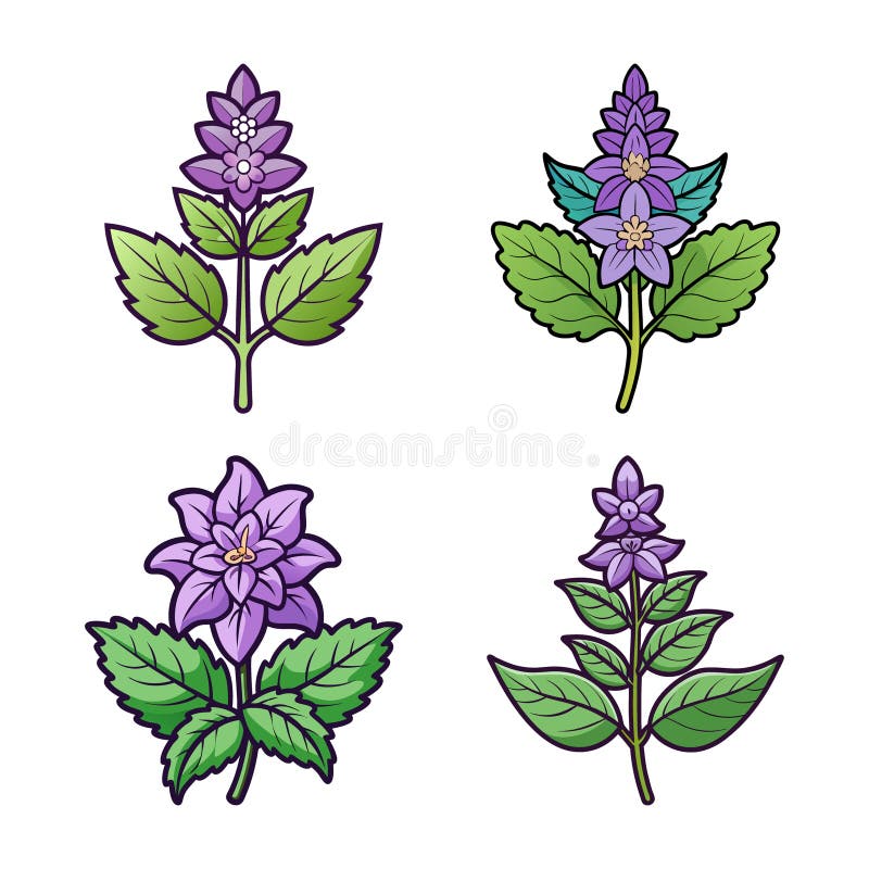 Charming Catmint Flower Design Stock Vector - Illustration of symmetry ...