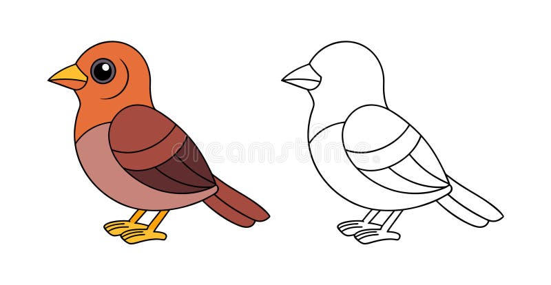 Charming Chinese Thrush Bird Illustration Stock Illustration ...