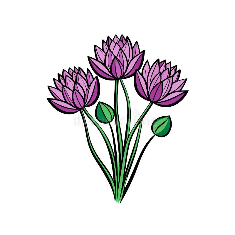 Charming Chive Flowers Floral Artwork Stock Image - Image of flowers ...