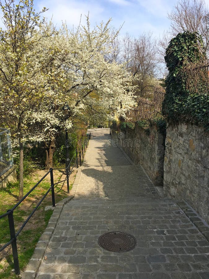 Charming Cobblestone Pathway Lined with Trees and Stone Walls in Spring ...