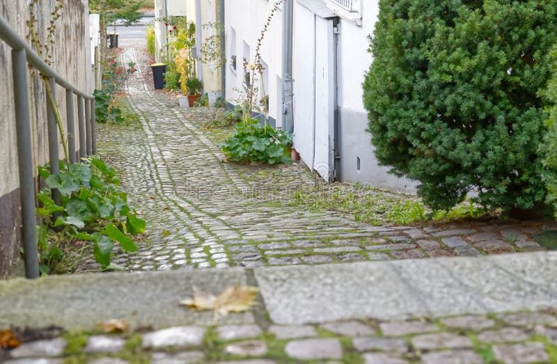 Charming Cobblestone Pathway in Urban Setting Stock Image - Image of ...
