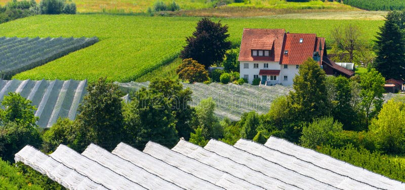 Charming Countryside House with Red Roof Surrounded by Lush Fields and ...