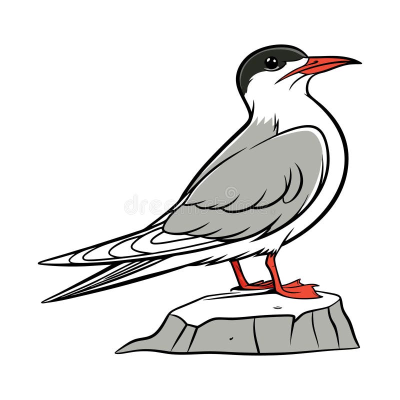 Charming Damara Tern Bird Design Stock Image - Illustration of purple ...