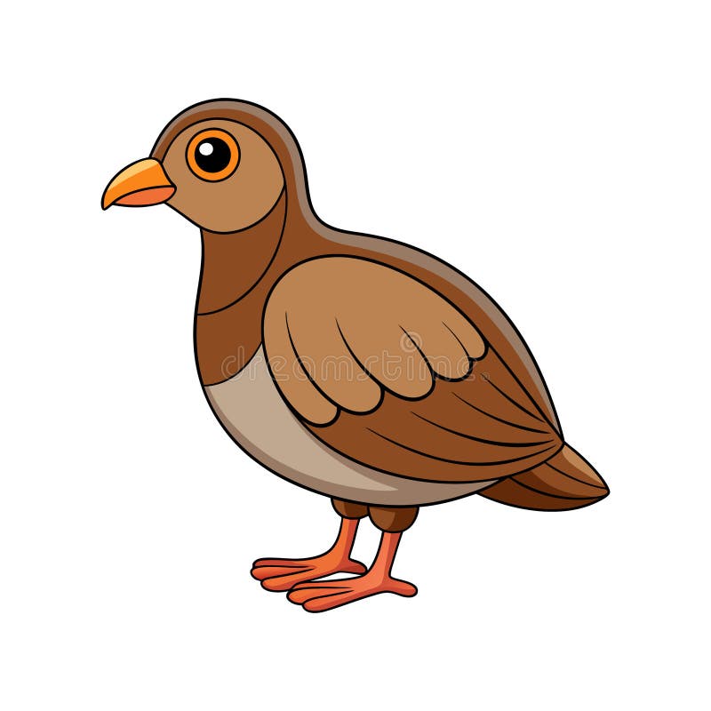 Charming Daurian Partridge Bird Artwork Stock Illustration ...