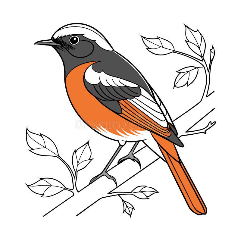 Charming Daurian Redstart Bird Design Stock Image - Illustration of drawing, stylish: 366391051