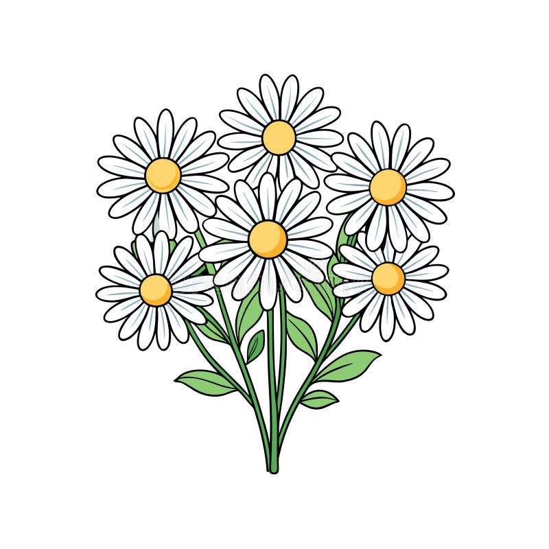 Charming Daisy Bouquet Design Stock Illustration - Illustration of ...