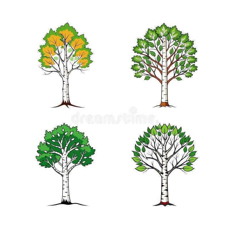Charming Birch Tree Design with Strong Outline Stock Vector ...
