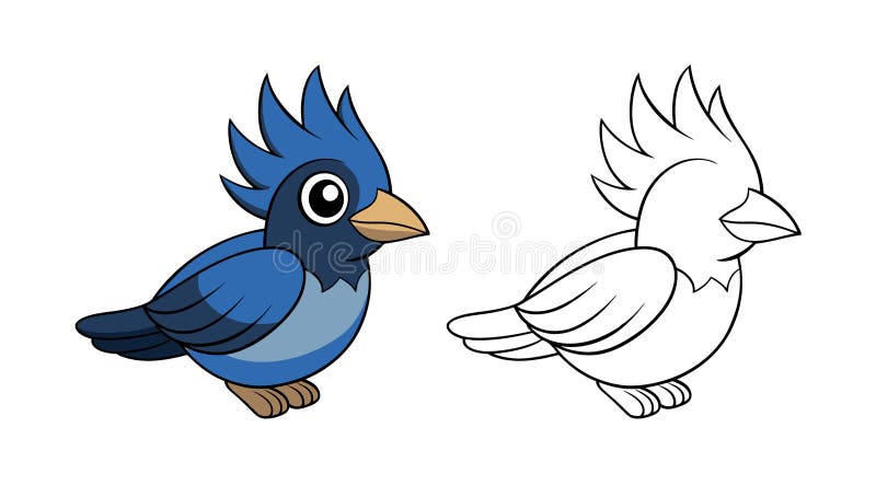 Charming Curl-crested Jay Bird Design Stock Illustration - Illustration ...
