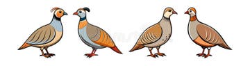 Chukar Stock Illustrations – 93 Chukar Stock Illustrations, Vectors ...