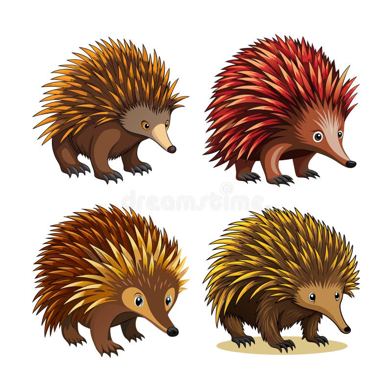 Charming Echidna Color Illustration Stock Vector - Illustration of ...