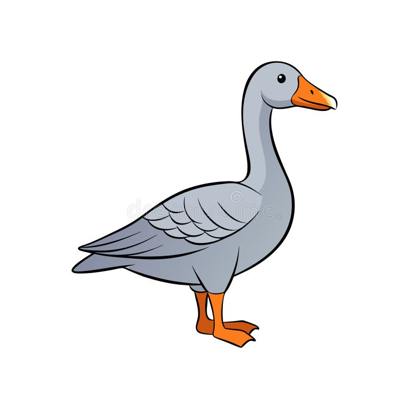 Charming Emperor Goose Portrait Stock Image - Illustration of minimal ...