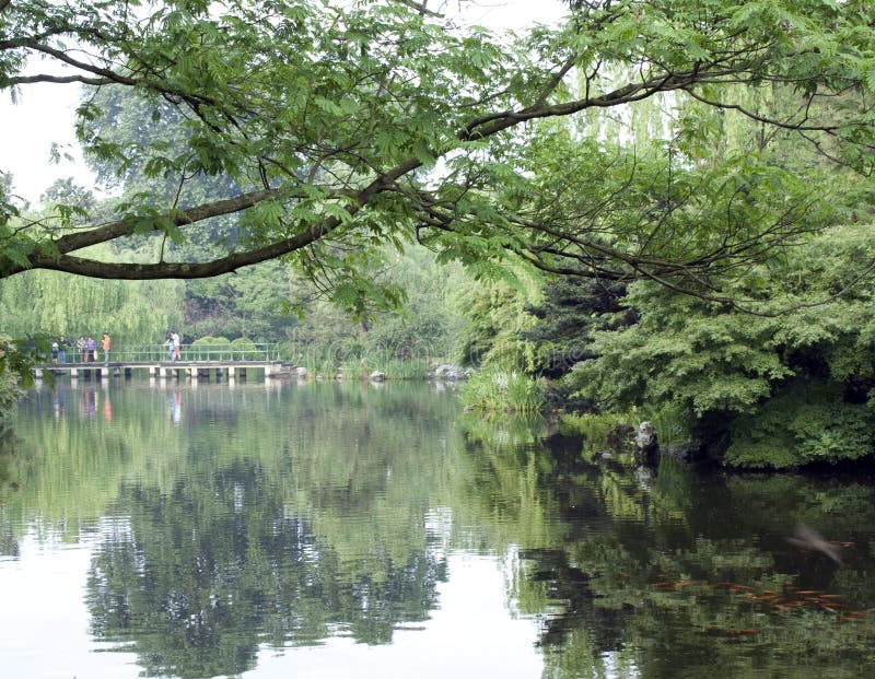 Charming Garden with Reflection Stock Image - Image of travel ...