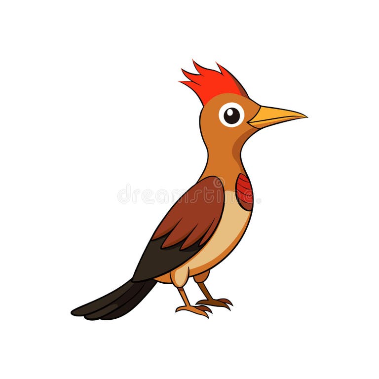 Charming Gilded Flicker Portrait Stock Illustration - Illustration of ...